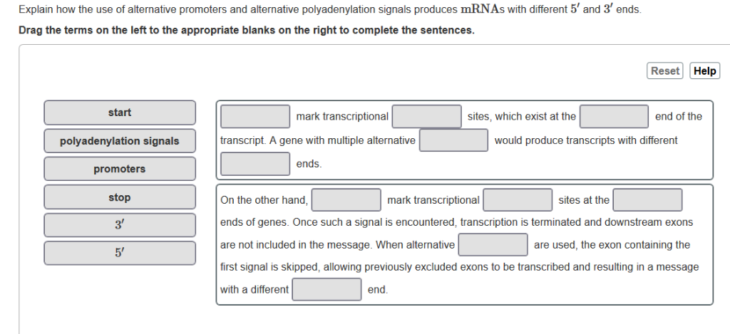 Solved Explain how the use of alternative promoters and | Chegg.com