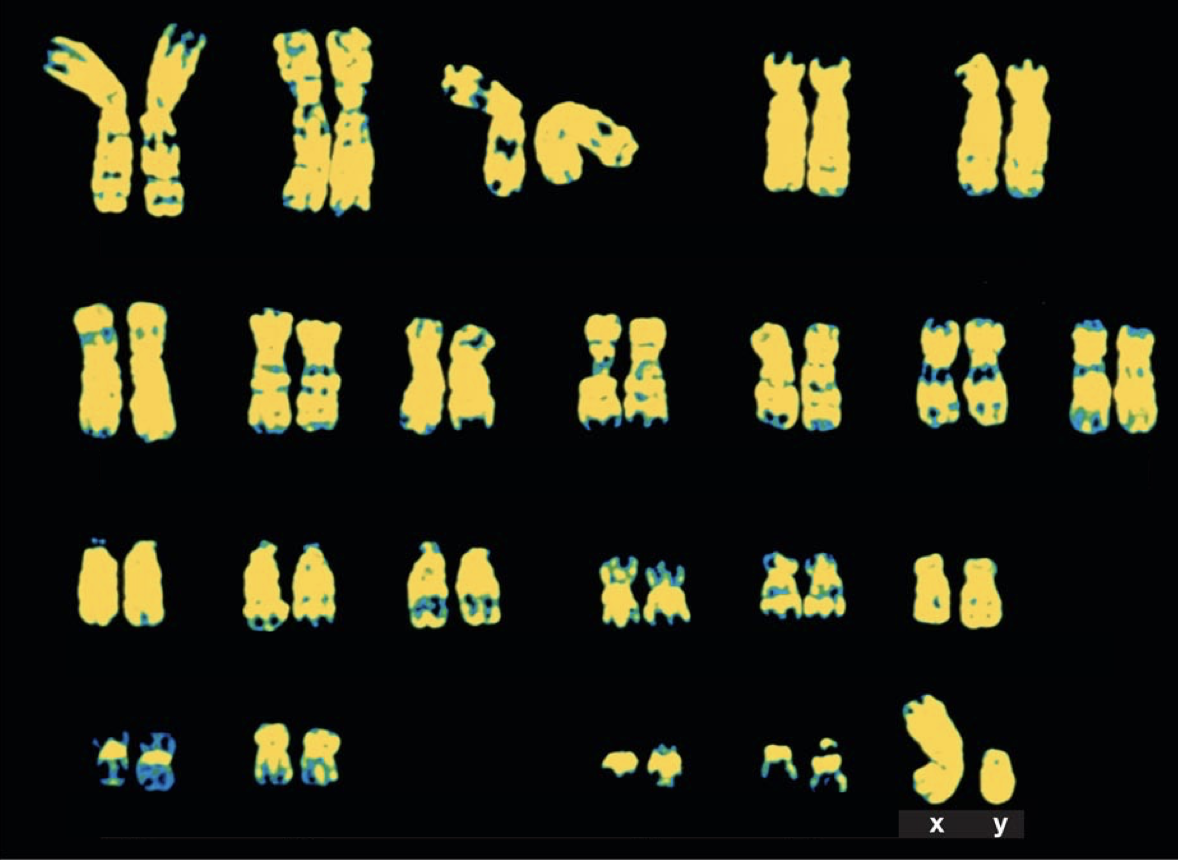 Solved Your instructor has provided you with the stained | Chegg.com