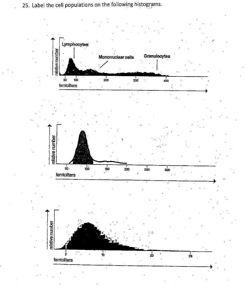 Solved 25. Label the cell populations on the following | Chegg.com
