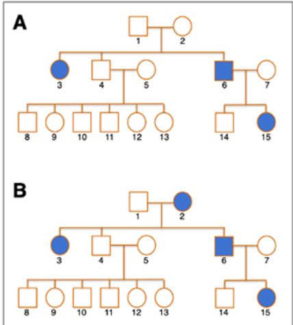 Solved The two family pedigrees below (‘A’ ﻿and ‘B’) | Chegg.com