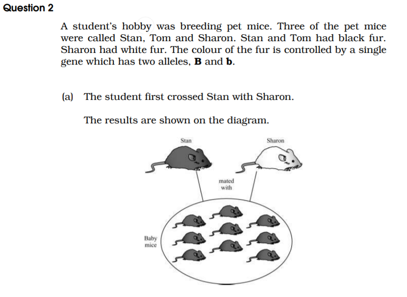 Solved Question 2 A student's hobby was breeding pet mice. | Chegg.com