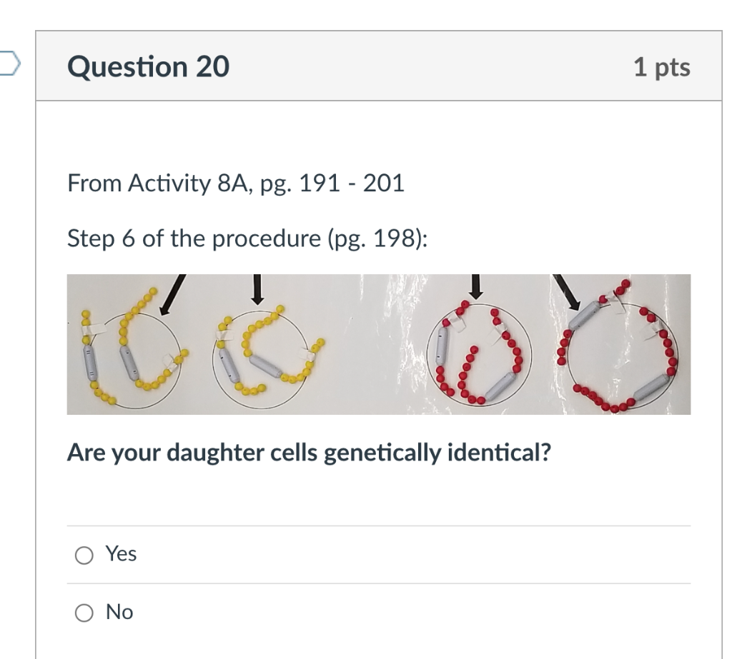 From Activity 8A, pg. 191 - 201 Step 6 of the | Chegg.com