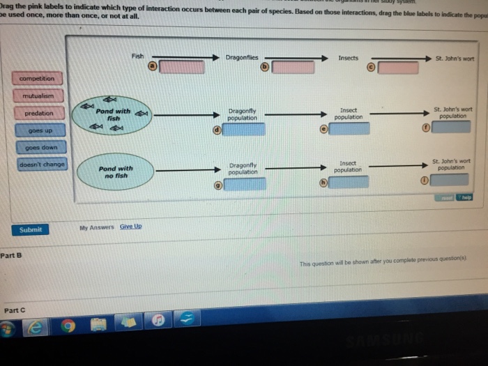 Solved Drag the pink labels to indicate which type of | Chegg.com