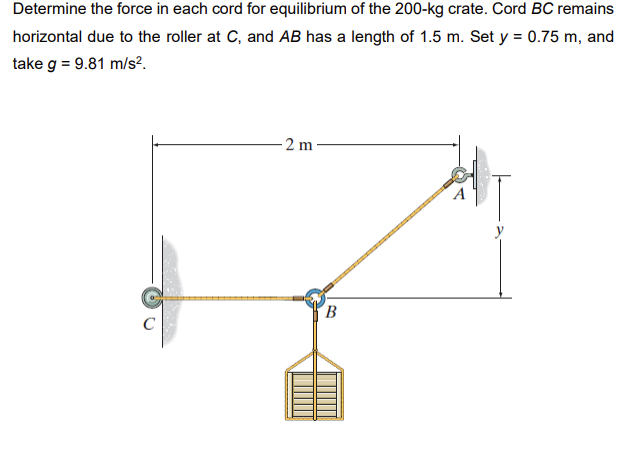 Solved Determine the force in ﻿each cord for equilibrium of | Chegg.com