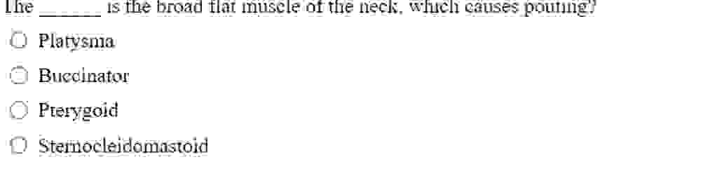 Solved Lheis the broad tlat muscle of the neck. whell causes | Chegg.com