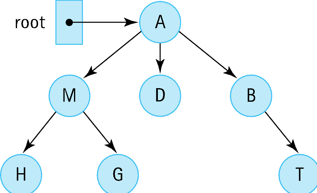 Solved What is the height of the above tree? A) | Chegg.com