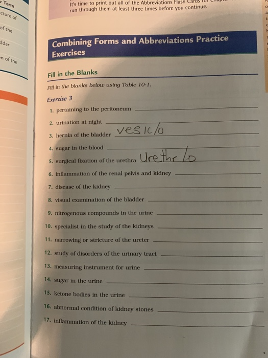 Solved URINARY SYSTEM 294 TABLE 10-1 COMBINING FORMS RELATED | Chegg.com
