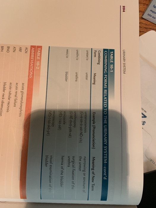 Solved URINARY SYSTEM 294 TABLE 10-1 COMBINING FORMS RELATED | Chegg.com