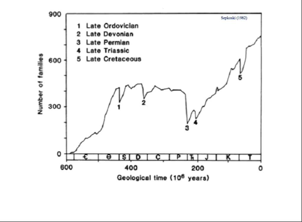 Solved 900 Sepkoski (1982) 1 Late Ordovician 2 Late Devonian | Chegg.com