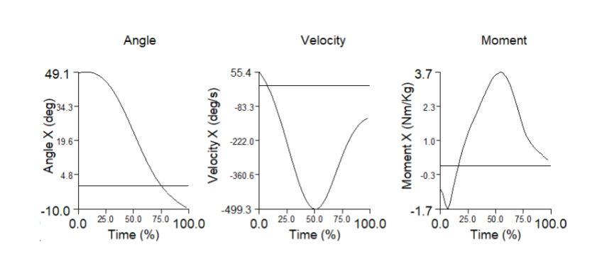 Consider the above graphs of the hip sagittal angle | Chegg.com