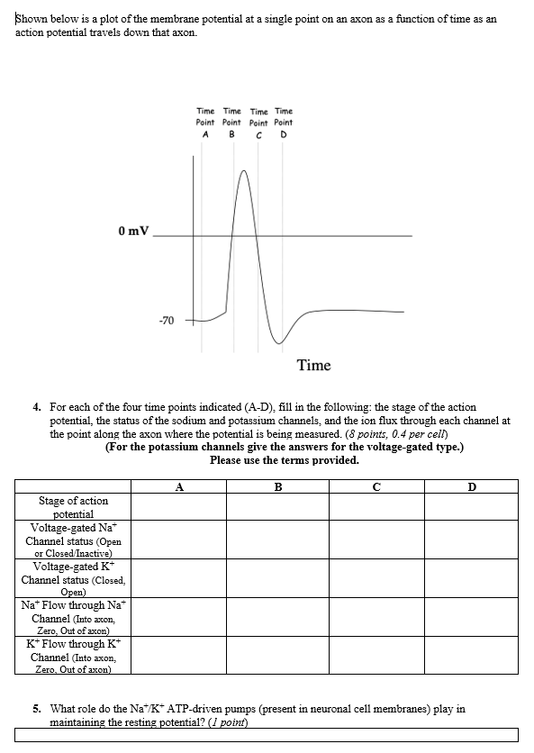 Solved Shown below is a plot of the membrane potential at a | Chegg.com