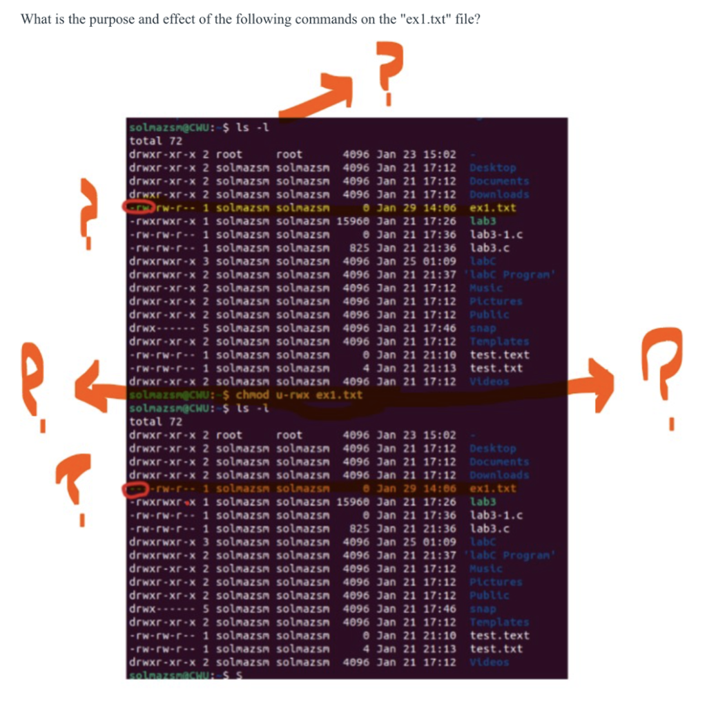 Solved What is the purpose and effect of the following | Chegg.com