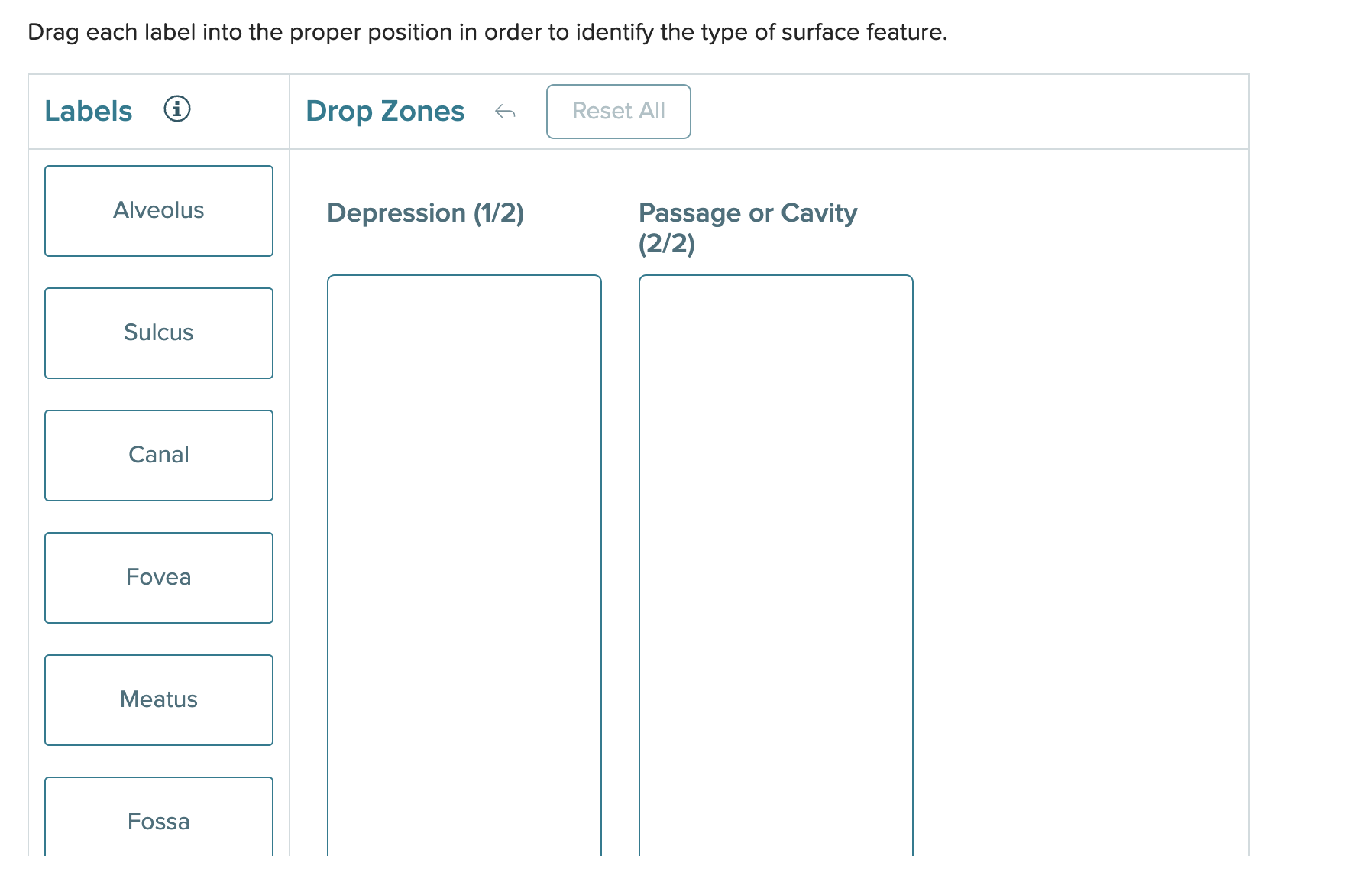 Solved Drag each label into the proper position in order to | Chegg.com