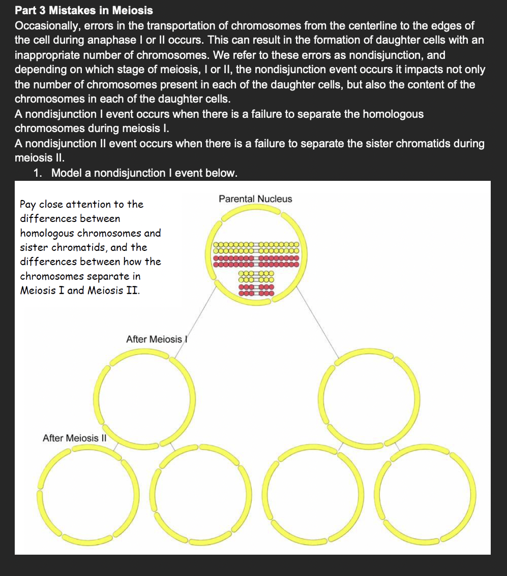 Solved Part 3 Mistakes in Meiosis Occasionally, errors in | Chegg.com