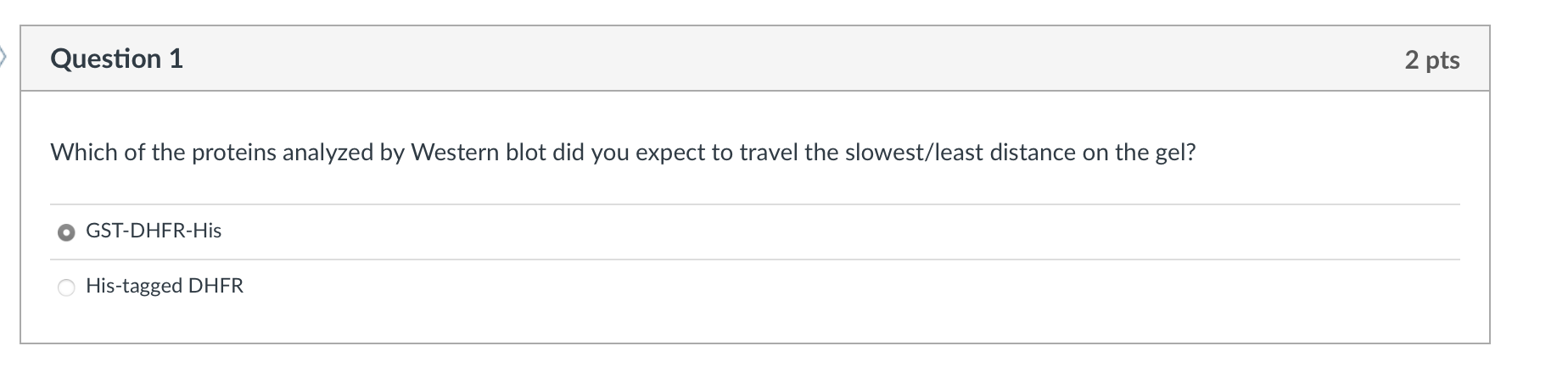 Solved Question 1Which of the proteins analyzed by Western | Chegg.com