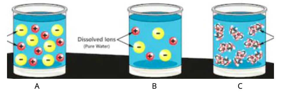 Solved Observe the 3 solutions below of dissolved salt, | Chegg.com