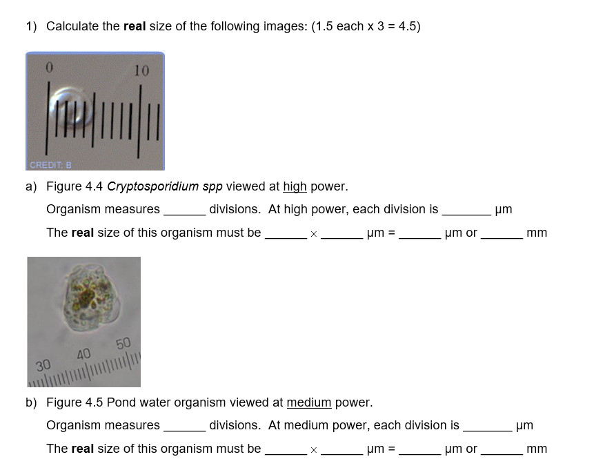 Solved Table 4.3 Values for one division on ocular | Chegg.com