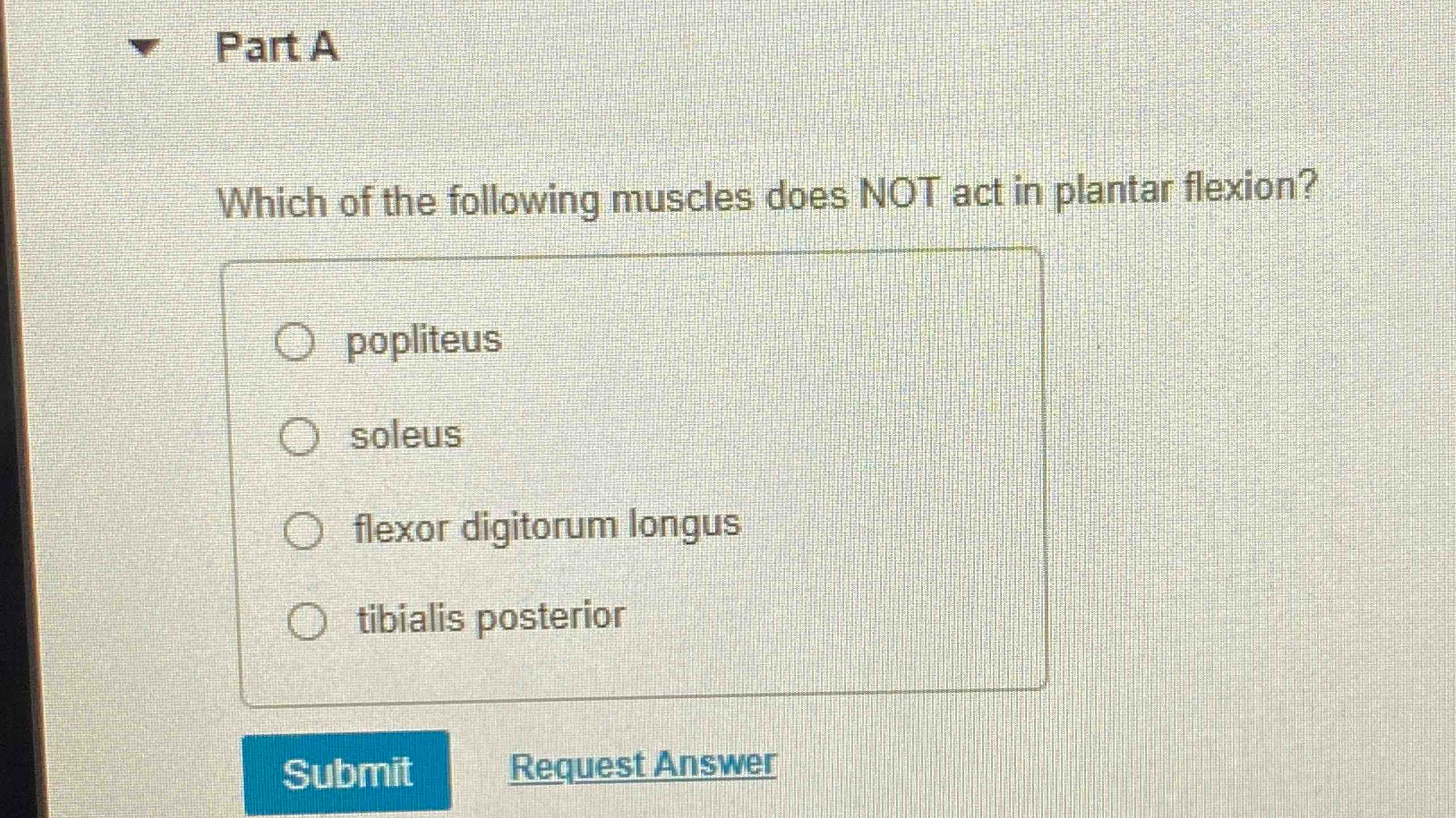 Solved Part AWhich of the following muscles does NOT act in | Chegg.com