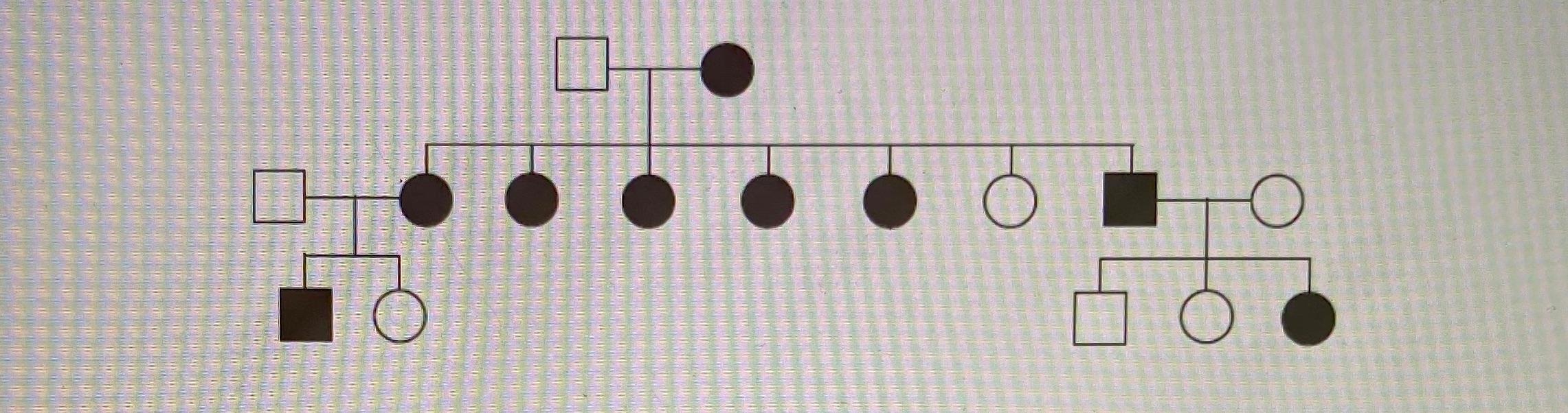 Solved Examine the following Pedigree. For each of the Modes | Chegg.com