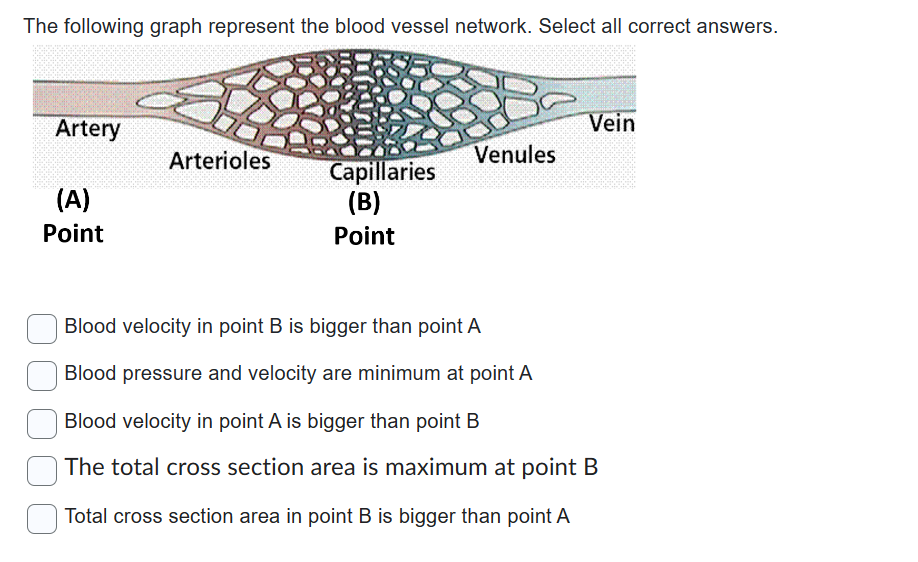 Solved The following graph represent the blood vessel | Chegg.com