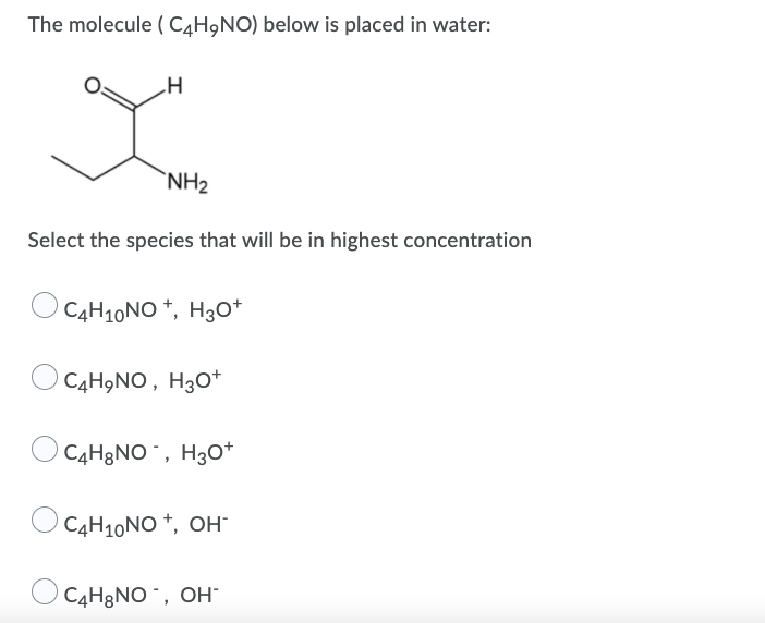 Solved The molecule (C4H9NO) below is placed in water: Н. | Chegg.com