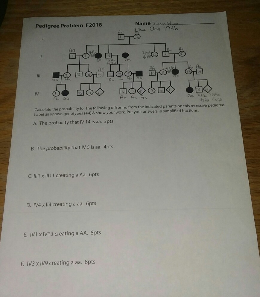 Solved Pedigree Problem F2018 Oct 19th Aa 2/3A ла IV. Aa Aa | Chegg.com