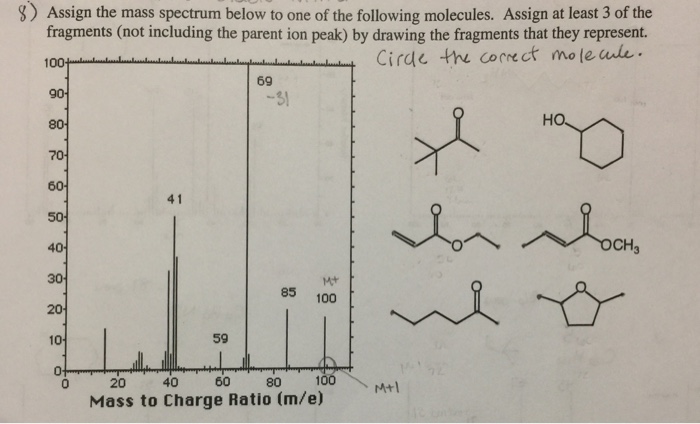Solved Assign the mass spectrum below to one of the | Chegg.com Solved Assign the mass spectrum below to one of the | Chegg.com