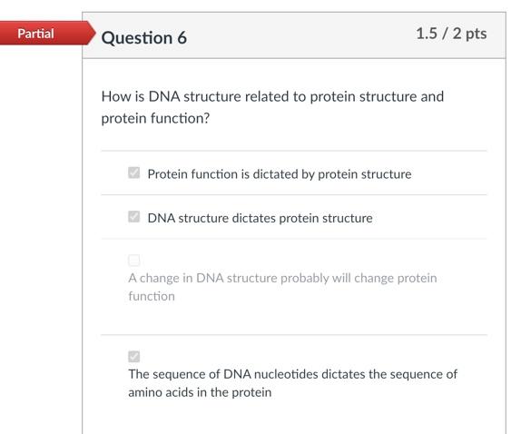Solved How is DNA structure related to protein structure and | Chegg.com