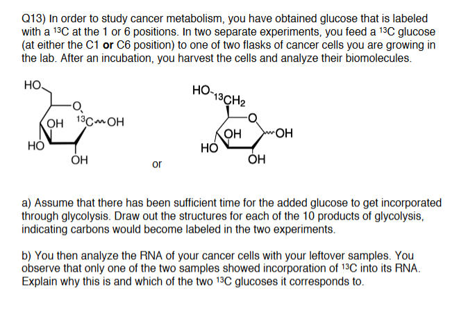Solved Please draw out all the structures asked for | Chegg.com