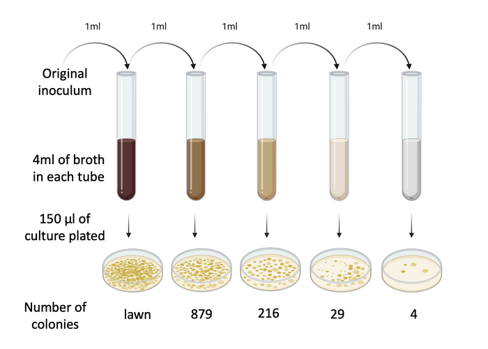 Solved Using the information in Figure 1 ﻿alculate the | Chegg.com