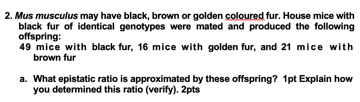 Solved 2. Mus musculus may have black, brown or golden | Chegg.com