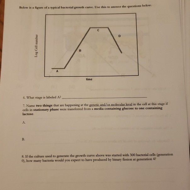 Solved Below is a figure of a typical bacterial growth | Chegg.com