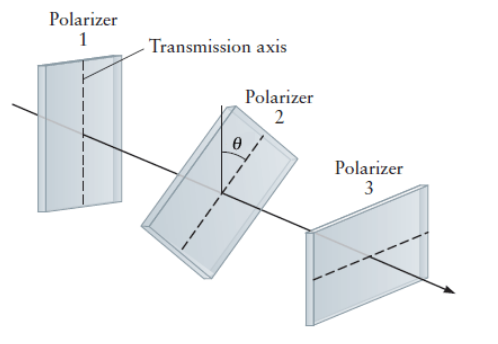 Solved Polarized light passes through three poles. Polar # 1 | Chegg.com