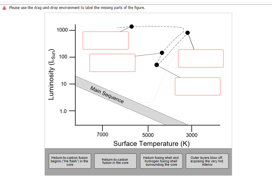 Solved Please use the drag-and-drop environment to label the | Chegg.com