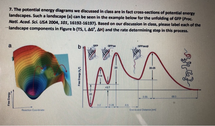 7. The potential energy diagrams we discussed in | Chegg.com