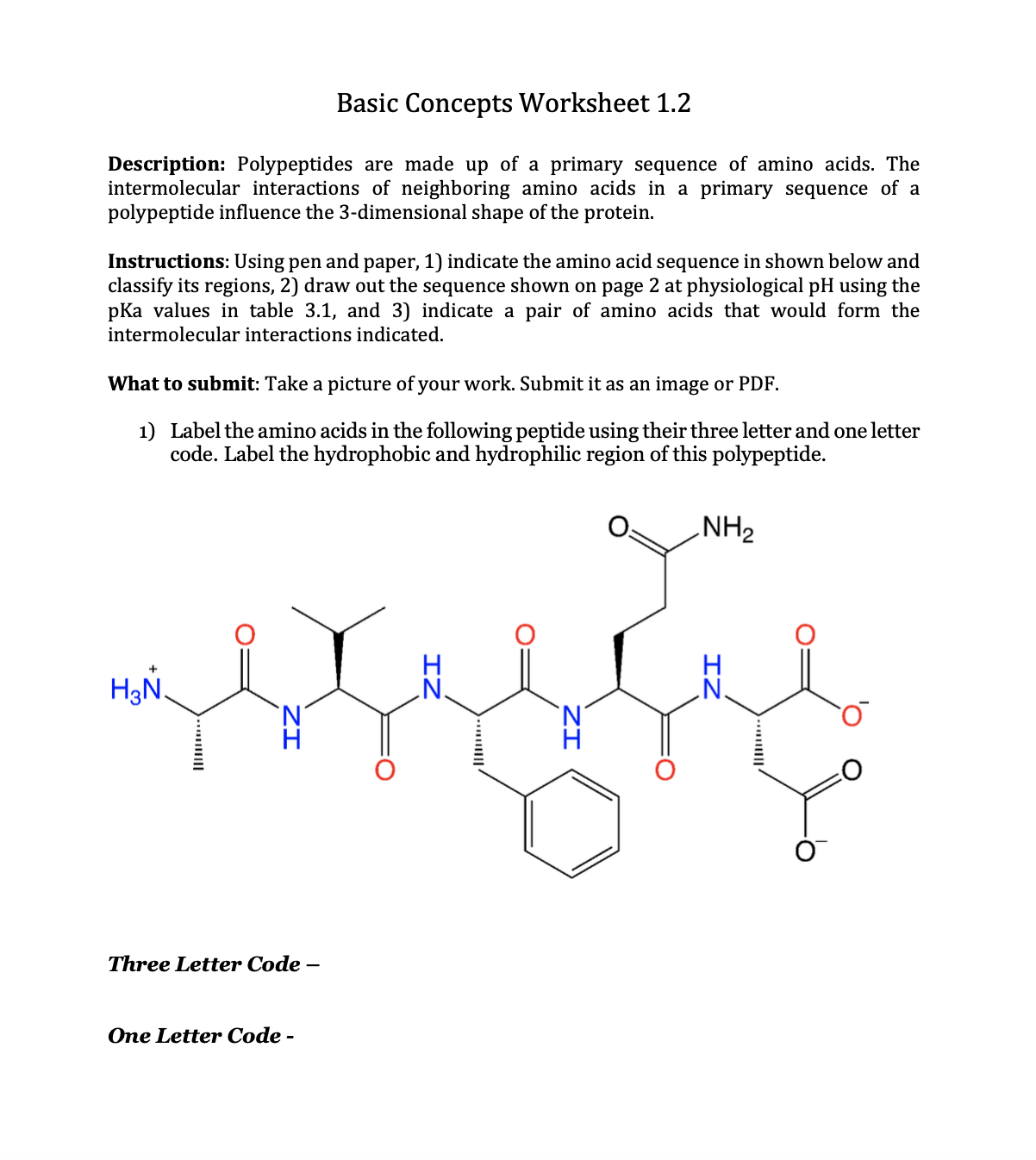 Basic Concepts Worksheet 1.2Description: Polypeptides | Chegg.com
