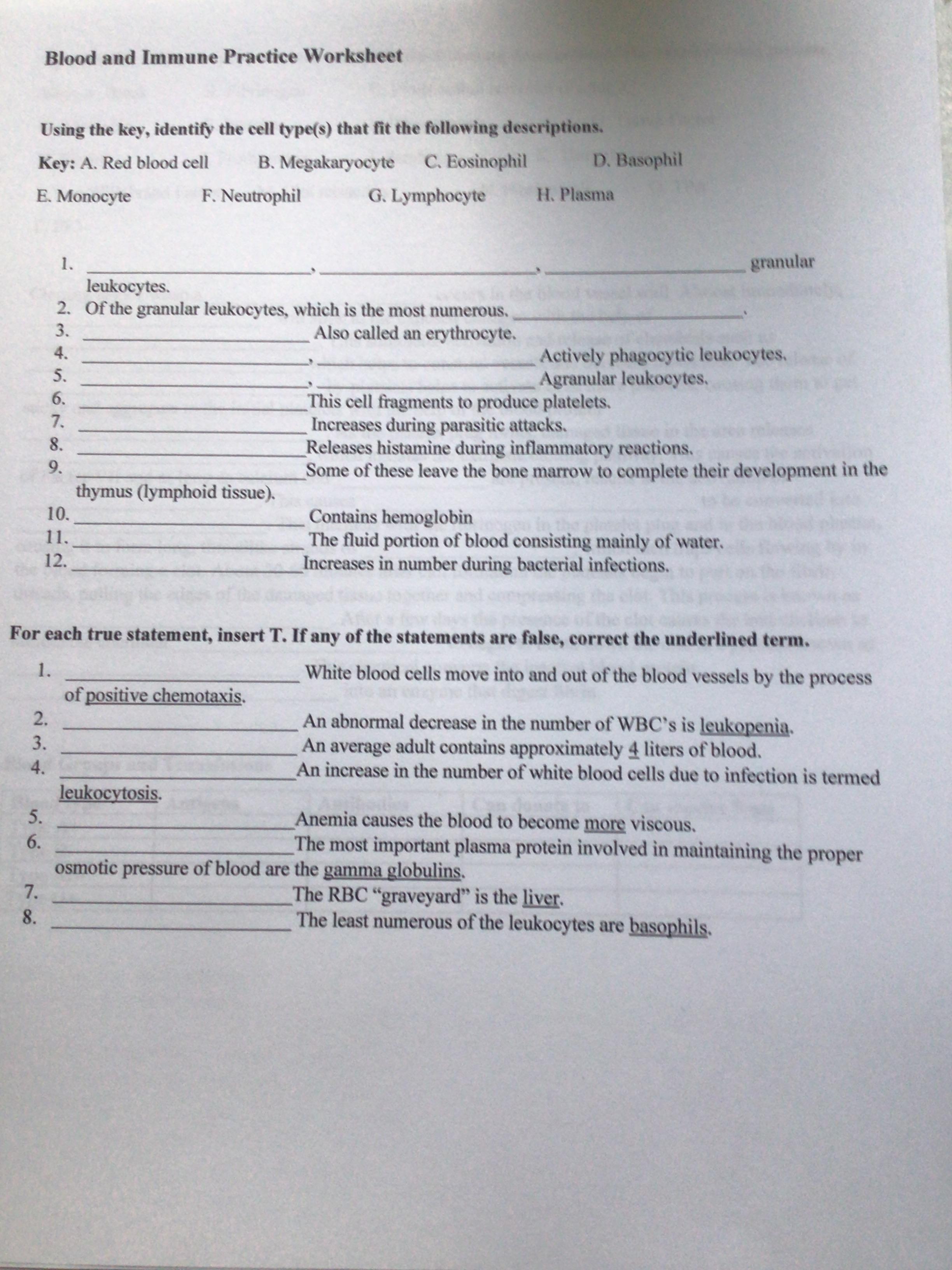 Solved Blood and Immune Practice Worksheet Using the key, | Chegg.com