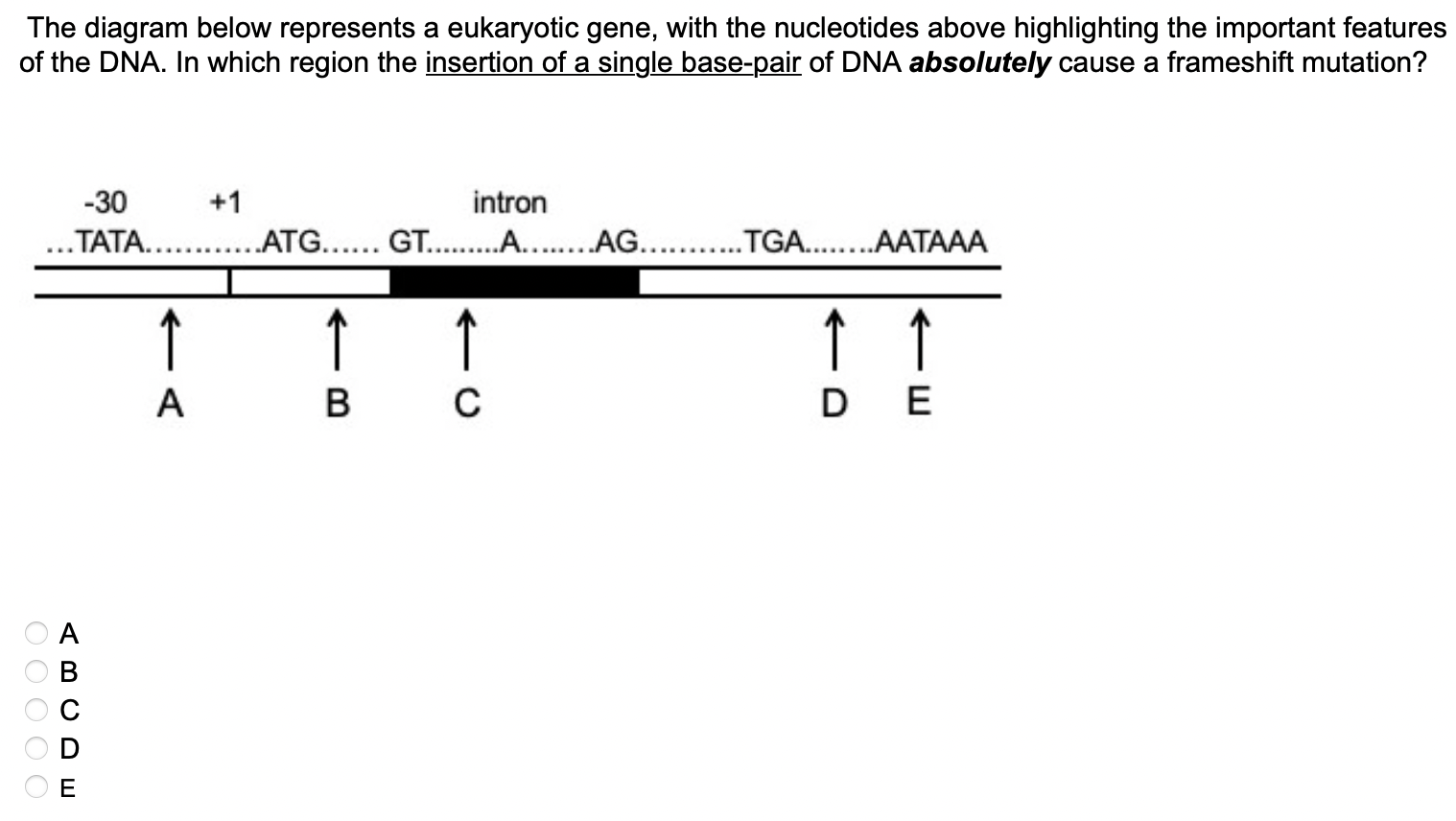 Solved The diagram below represents a eukaryotic gene, with | Chegg.com