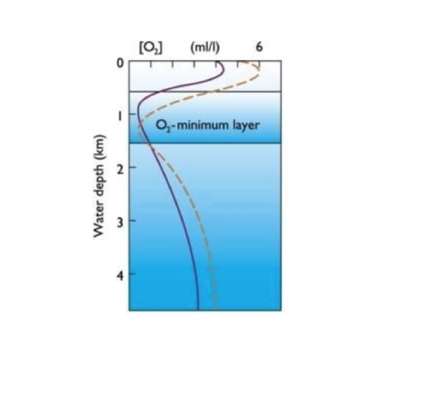 Solved 1: There is a depth interval labeled ‘O2-minimum | Chegg.com