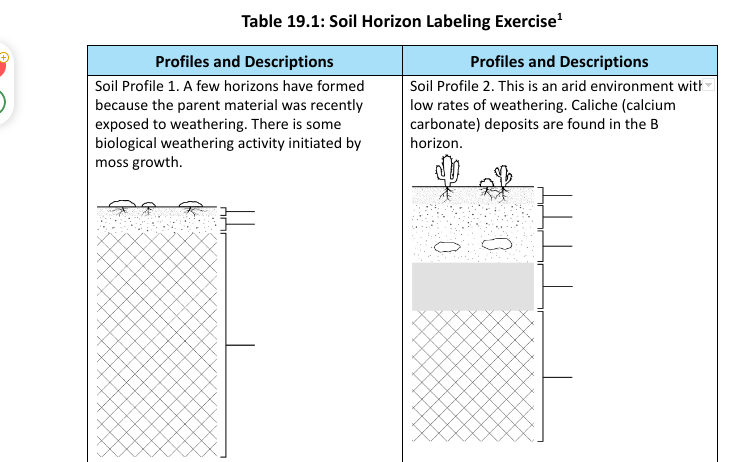 Soil Profile Diagrams Labelling