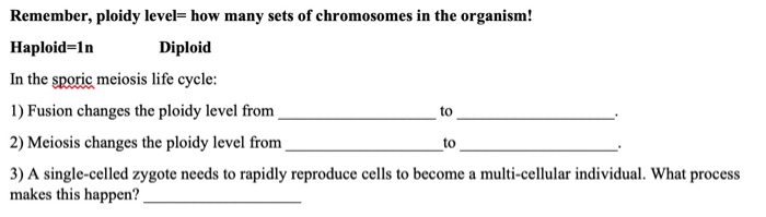 Solved Remember, ploidy level- how many sets of chromosomes | Chegg.com