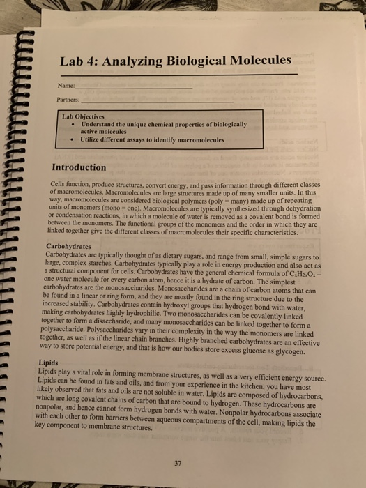 Solved Lab 4: Analyzing Biological Molecules Partners Lab | Chegg.com