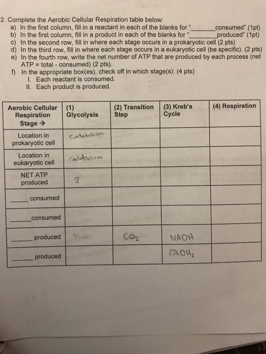 Solved 2. Complete the Aerobic Cellular Respiration table | Chegg.com