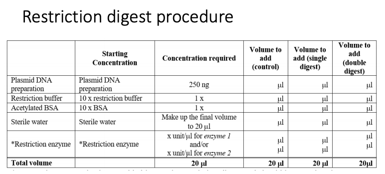 Solved You want to set up a restriction enzyme digest of | Chegg.com