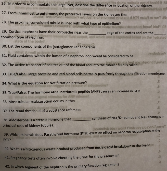 Solved 1. List the parts of the conducting portion of the | Chegg.com