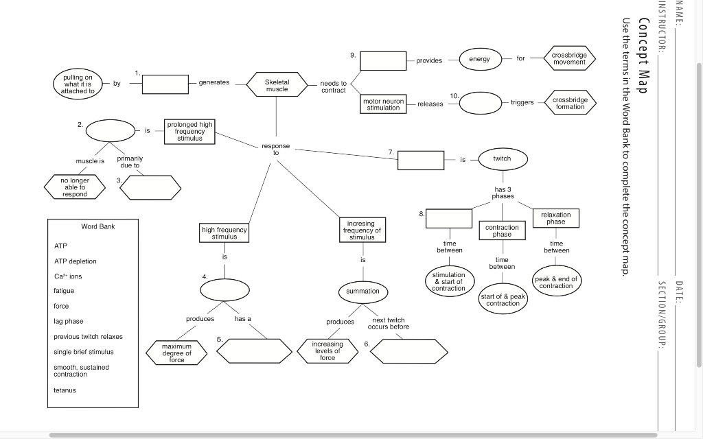 Solved DATE: SECTION/GROUP: NAME: INSTRUCTOR: Concept Map | Chegg.com