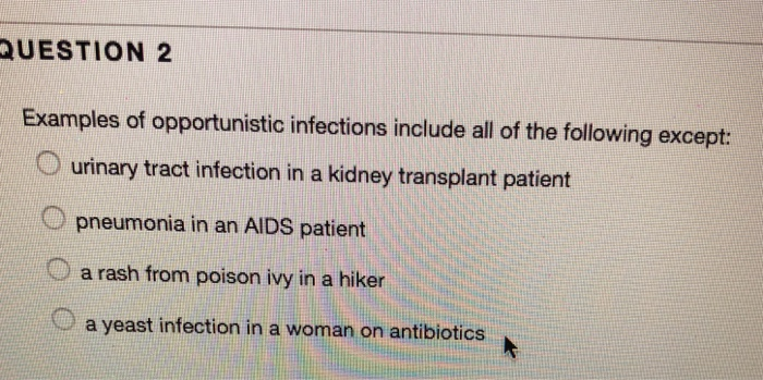 Solved QUESTION 2 Examples of opportunistic infections | Chegg.com