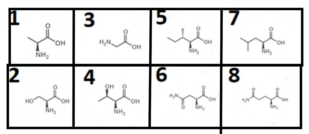 Solved Which of these amino acids have polar R groups? | Chegg.com