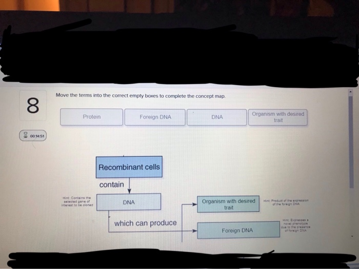 Solved Move the terms into the correct empty boxes to | Chegg.com