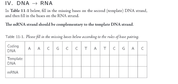 Solved IV. DNA → RNA In Table 11-1 below, fill in the | Chegg.com